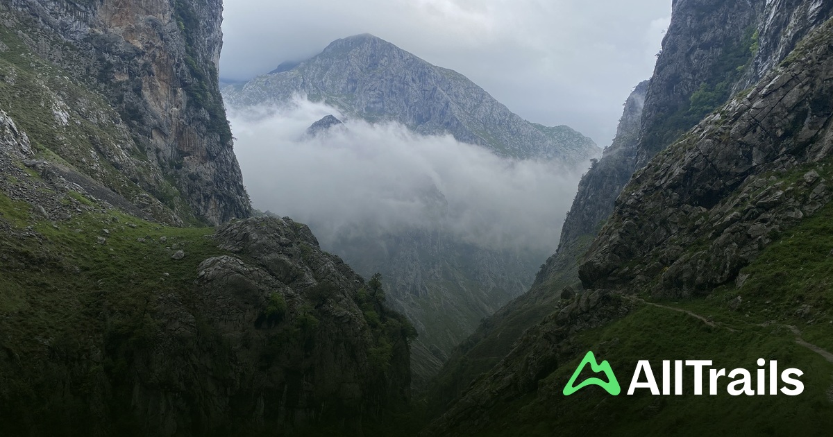 Canal del Agua - hikes and trails to get you there | AllTrails