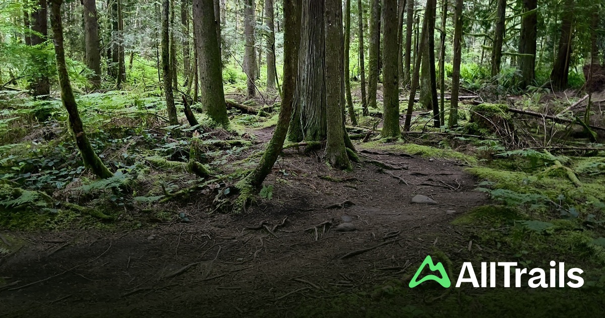 Ephemeral Pond - hikes and trails to get you there | AllTrails