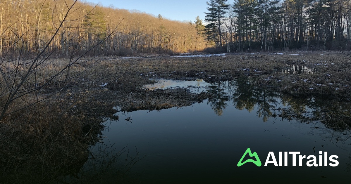 Deer Stand - hikes and trails to get you there | AllTrails