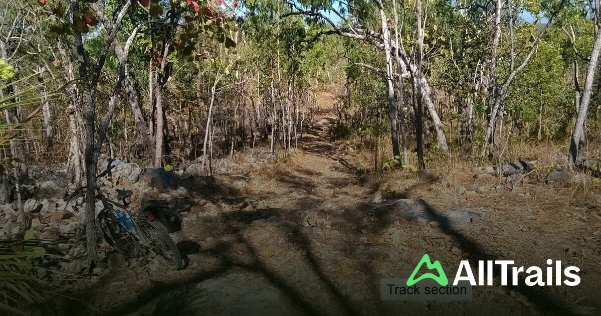 Darwin River Dam - hikes and trails to get you there | AllTrails