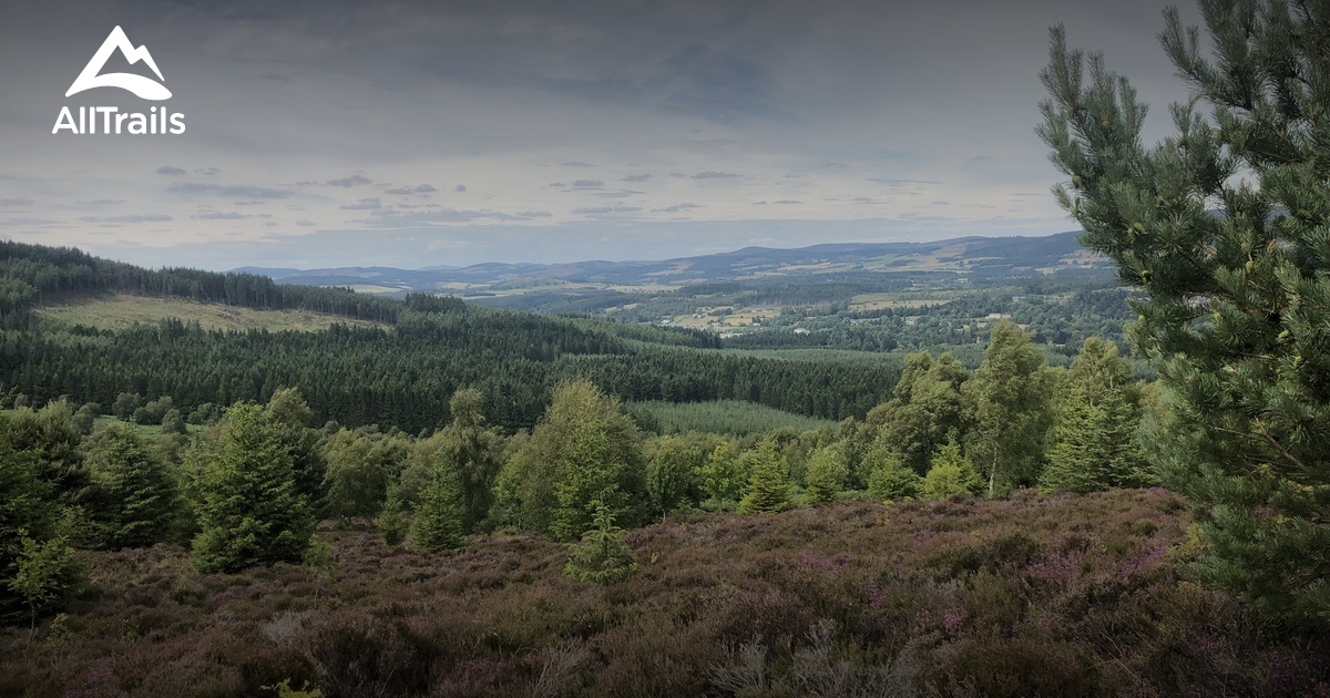 Best trails near Scolty Hill | AllTrails