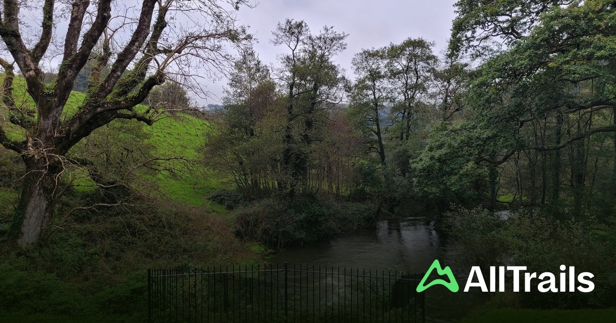 River Yeo - hikes and trails to get you there | AllTrails