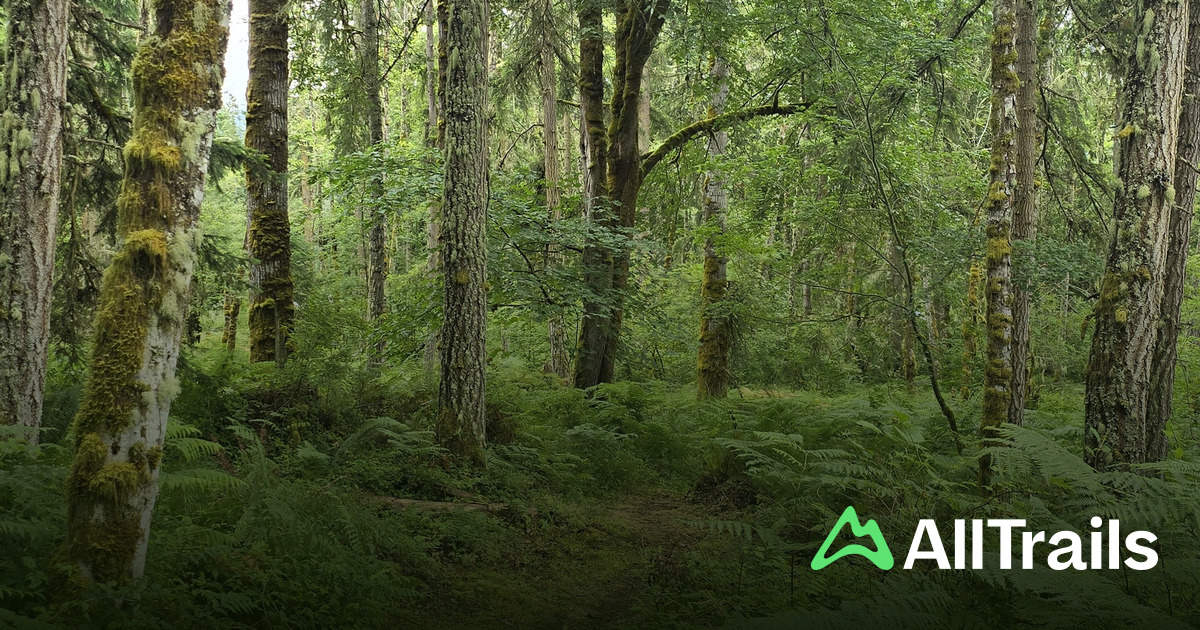 Elk Plain Campground - hikes and trails to get you there | AllTrails