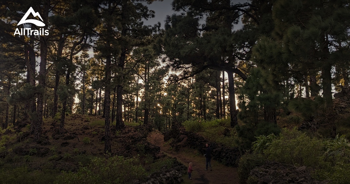 Caldera los Arreboles - hikes and trails to get you there | AllTrails