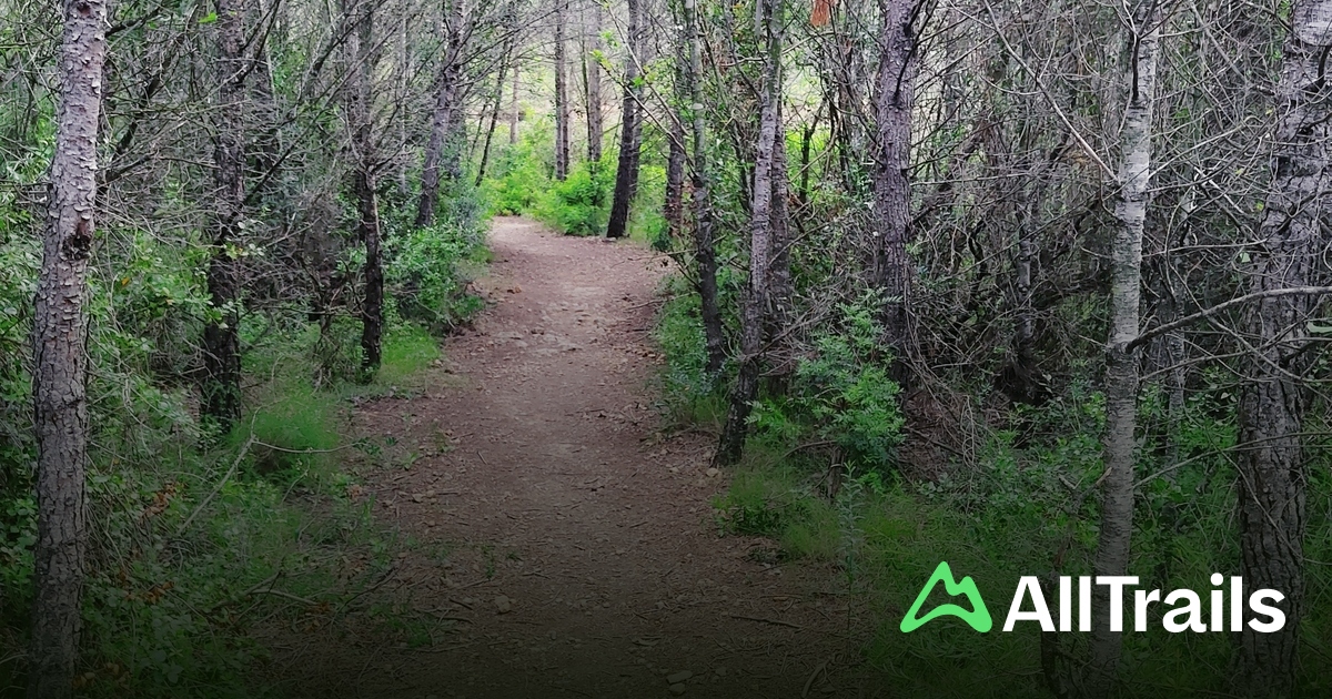 barraca 606 - hikes and trails to get you there | AllTrails