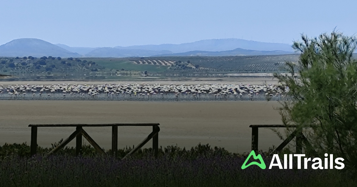 Laguna de las Palomas - hikes and trails to get you there | AllTrails