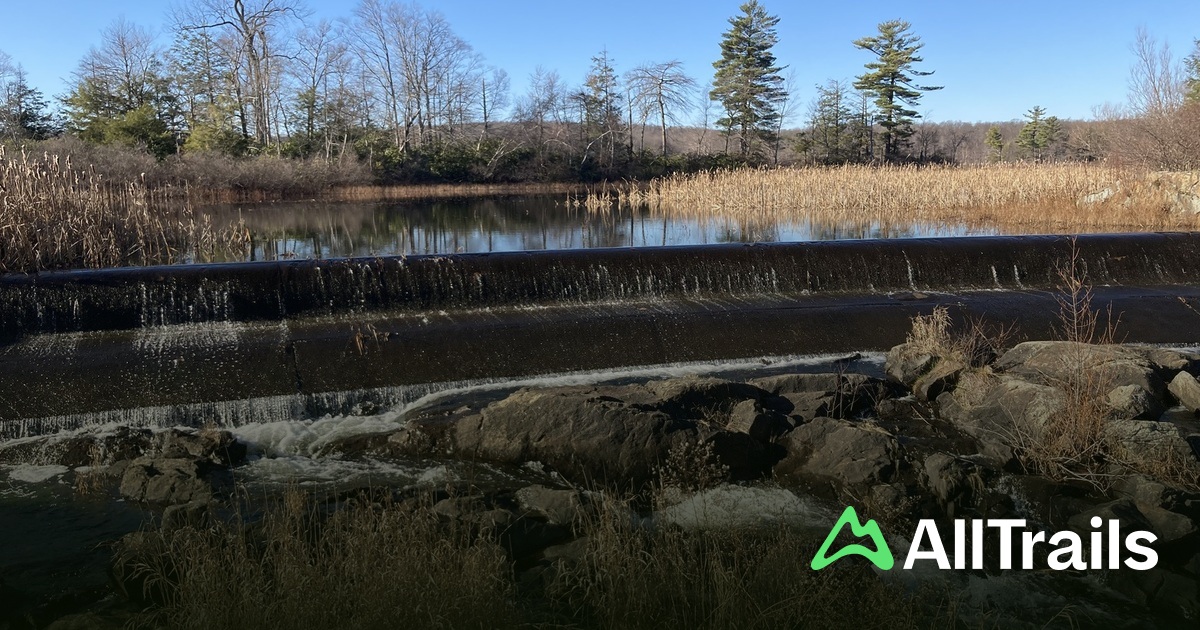 Wawayanda Lake - hikes and trails to get you there | AllTrails