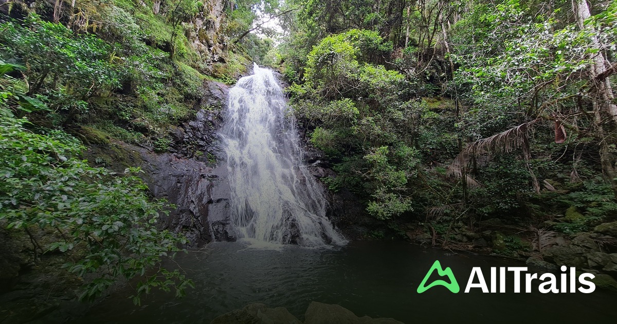 Poplar Flat camping area Main Range NP - hikes and trails to get you ...