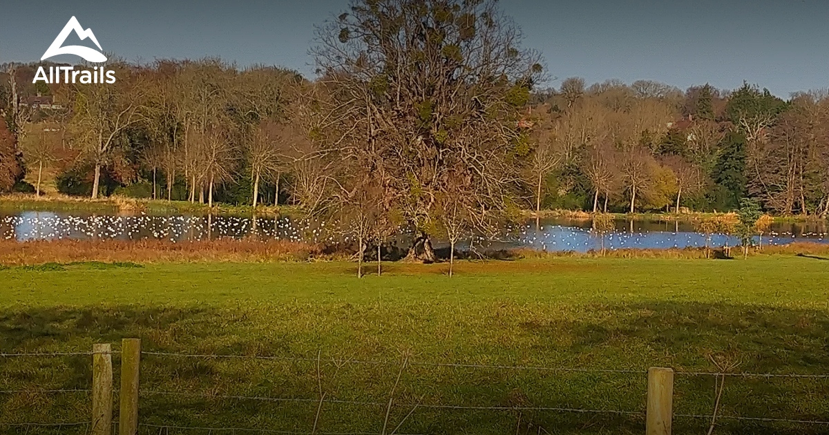 10 Best trails near Avington Park | AllTrails