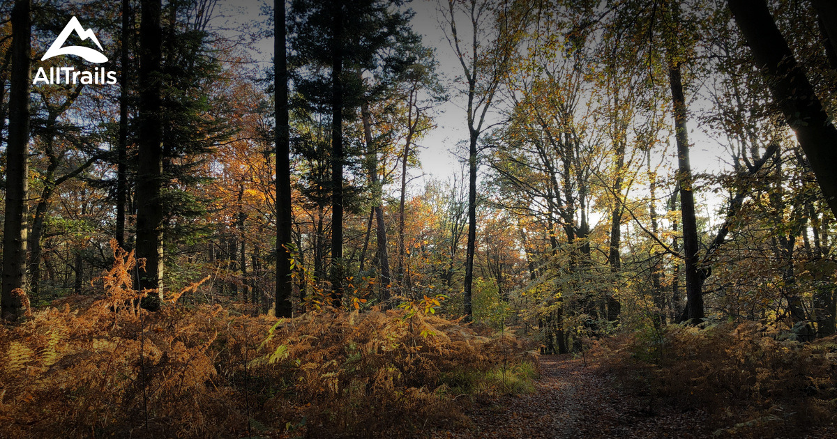 Hooge Hoenderberg: Die besten Routen in der Umgebung | AllTrails