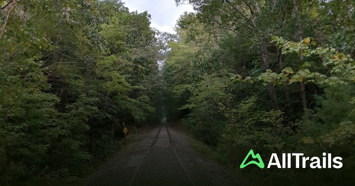 I migliori sentieri vicino a Colley Wright Brook | AllTrails