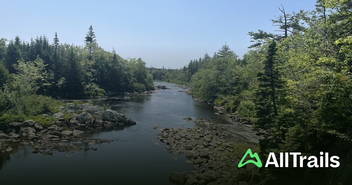 Liscomb River - hikes and trails to get you there | AllTrails