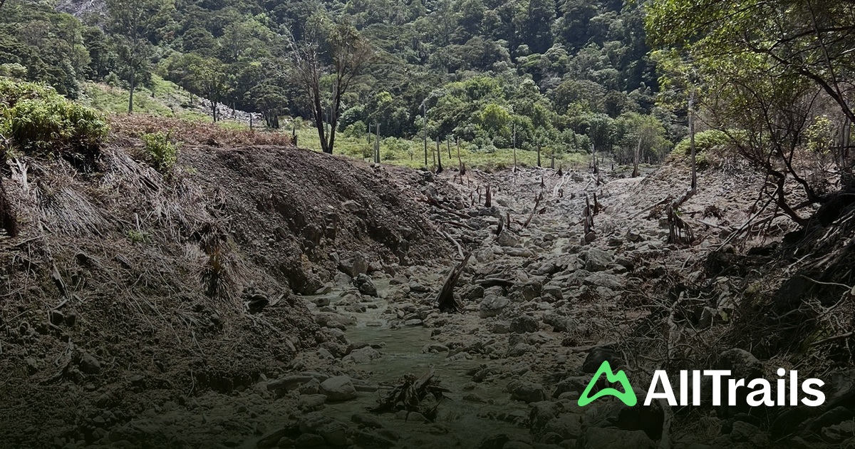 Tubig Gabi River - hikes and trails to get you there | AllTrails