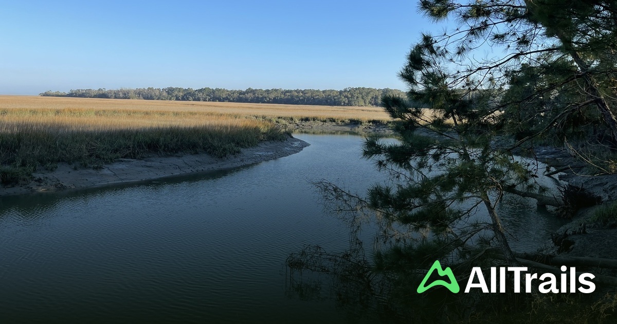 Groves Creek - hikes and trails to get you there | AllTrails