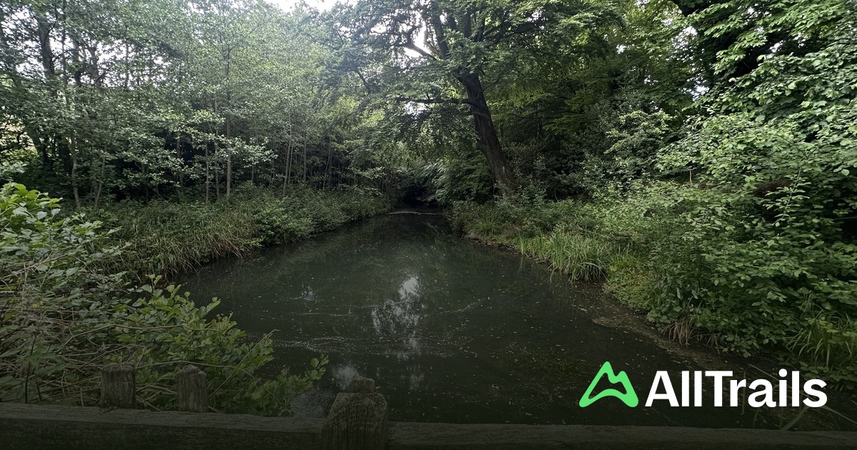 Heart Shaped Pool - hikes and trails to get you there | AllTrails