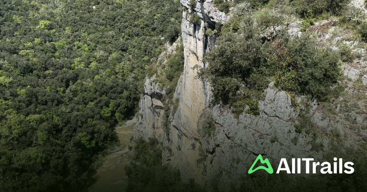 Aven - hikes and trails to get you there | AllTrails