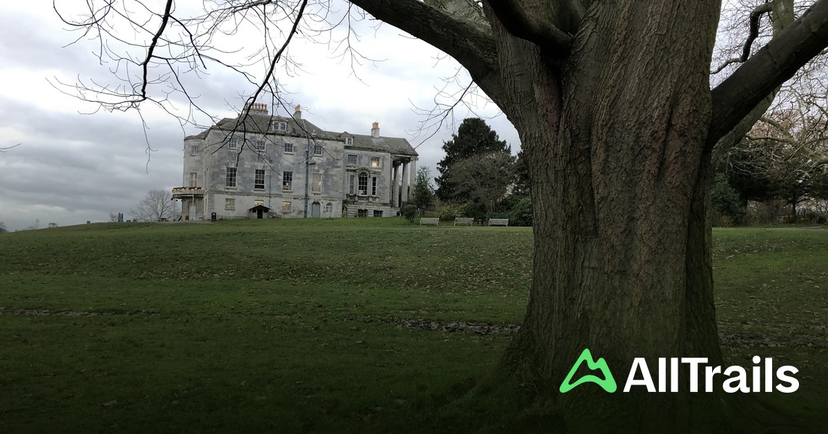 Spring Brook - hikes and trails to get you there | AllTrails