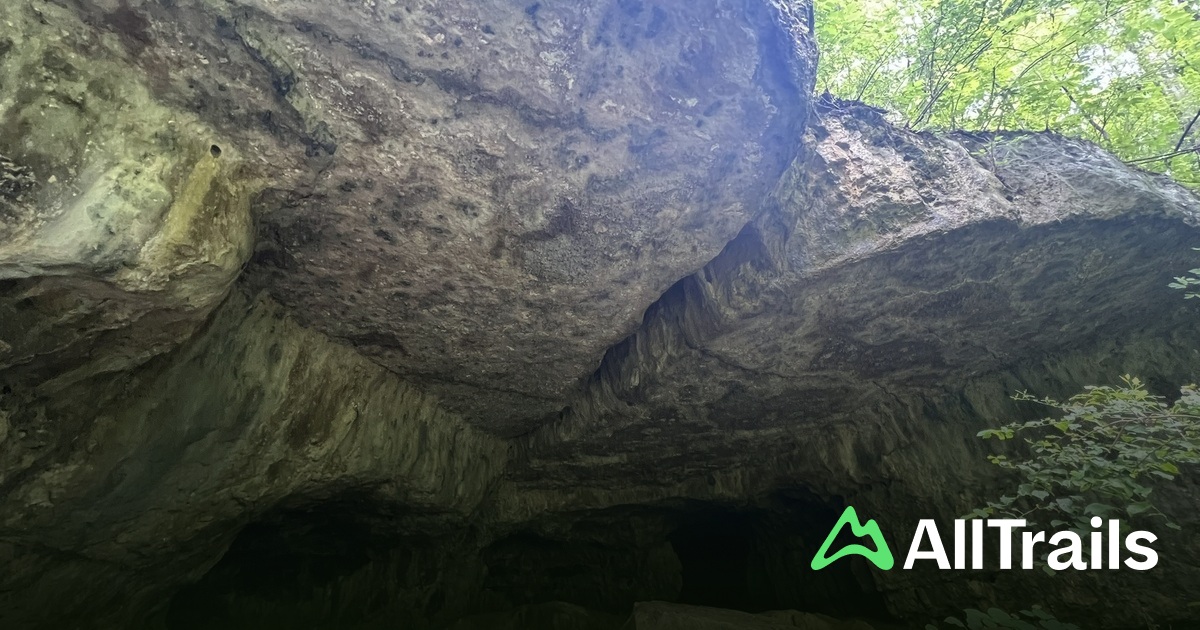 Fischer Cave - hikes and trails to get you there | AllTrails