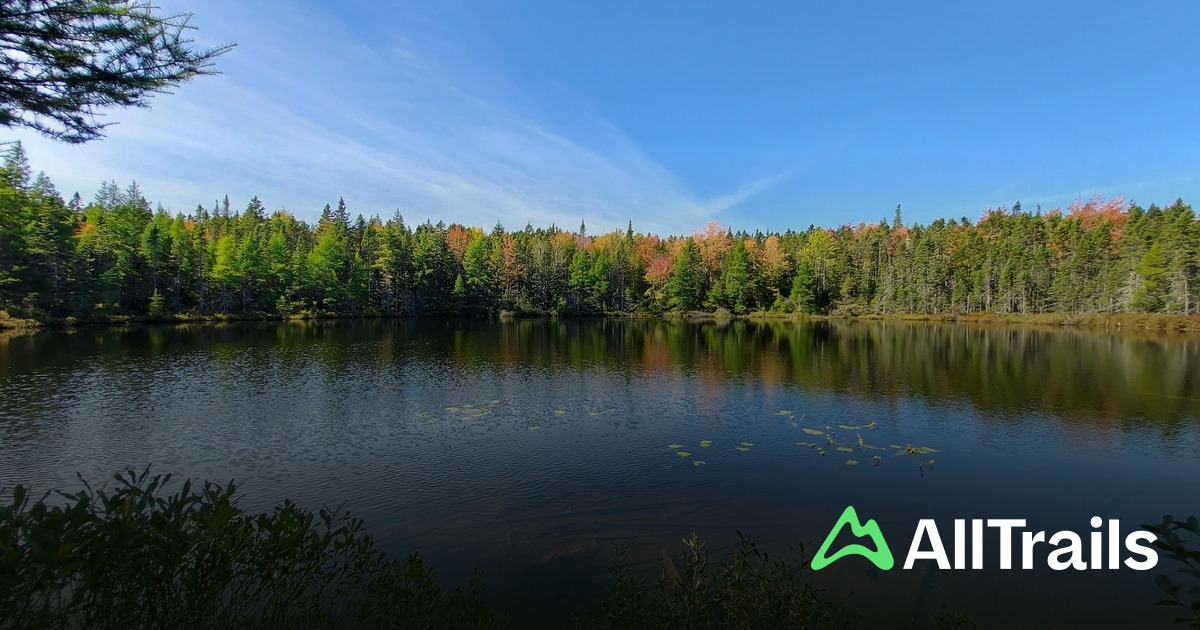 Nine Mile River - hikes and trails to get you there | AllTrails
