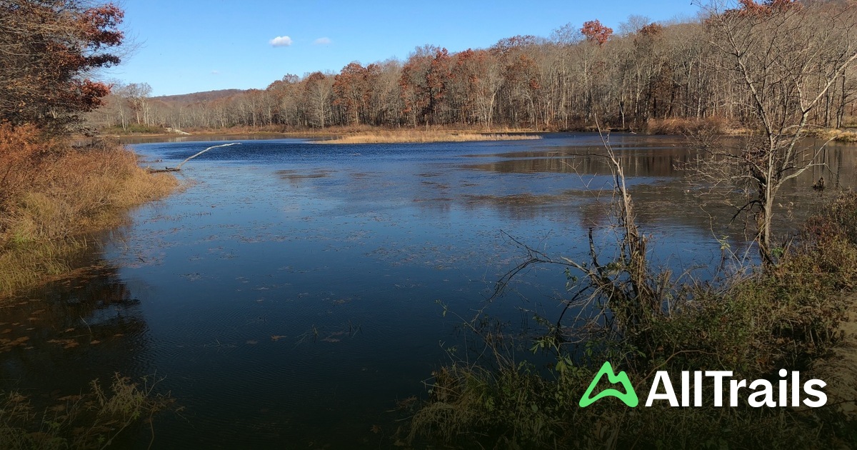 Saffin Rock - hikes and trails to get you there | AllTrails