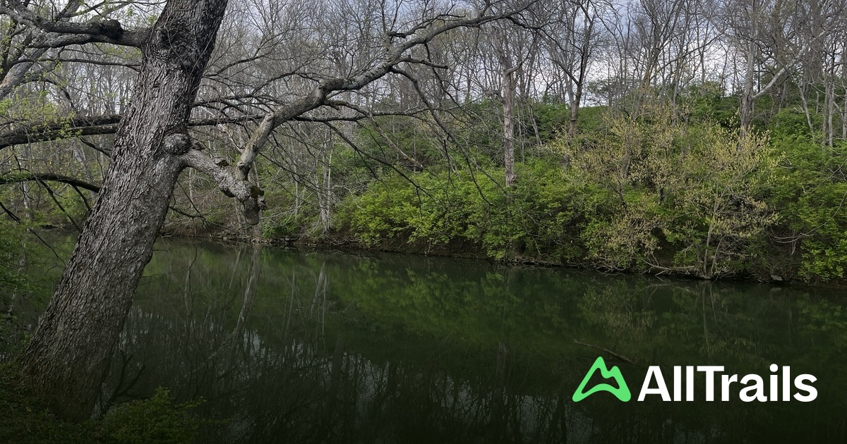 North Elkhorn Creek - hikes and trails to get you there | AllTrails