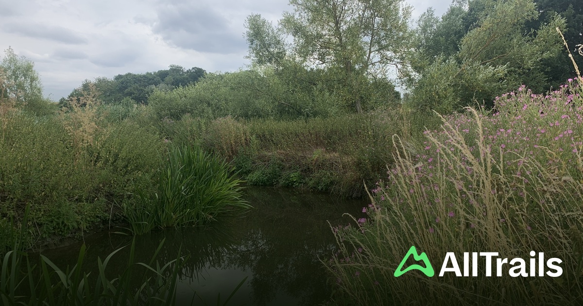 Common Watercourse - hikes and trails to get you there | AllTrails