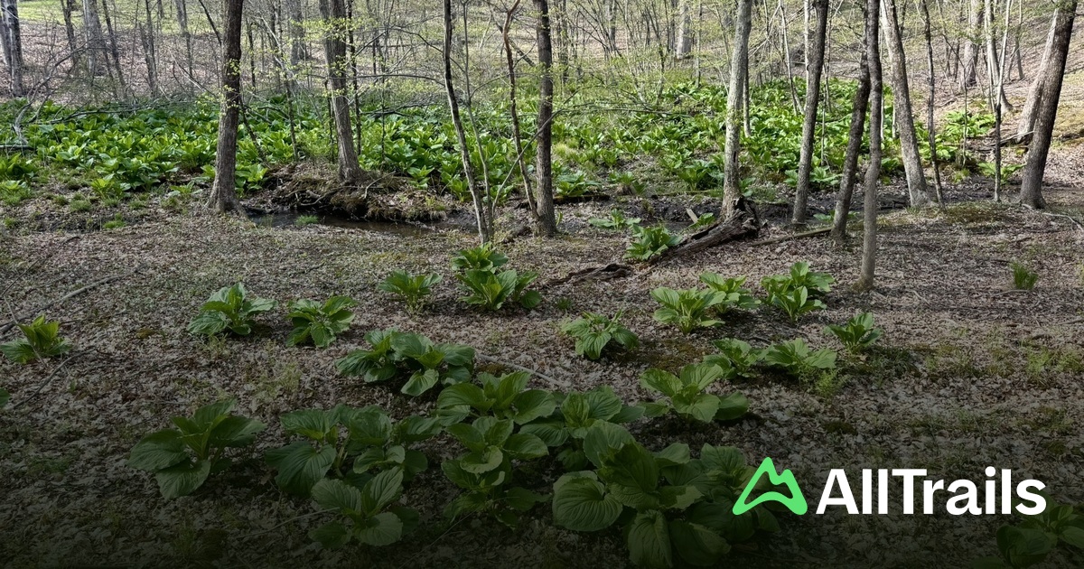 Troy Botanical Garden - hikes and trails to get you there | AllTrails