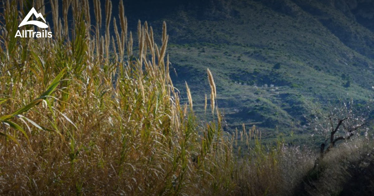 Morra de la Yesera - hikes and trails to get you there | AllTrails