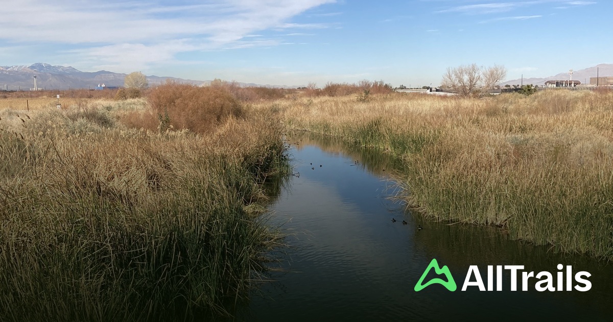 Scenic Overlook - hikes and trails to get you there | AllTrails