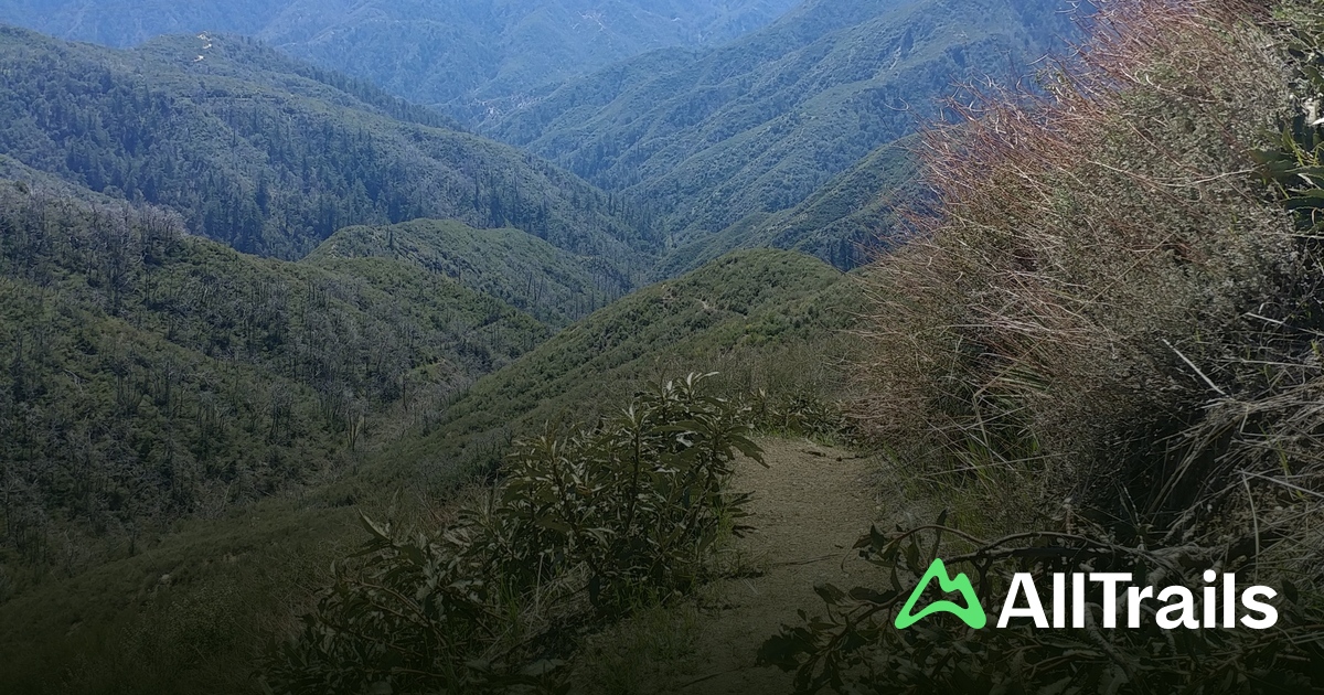 Los mejores senderos cerca de Fern Springs | AllTrails
