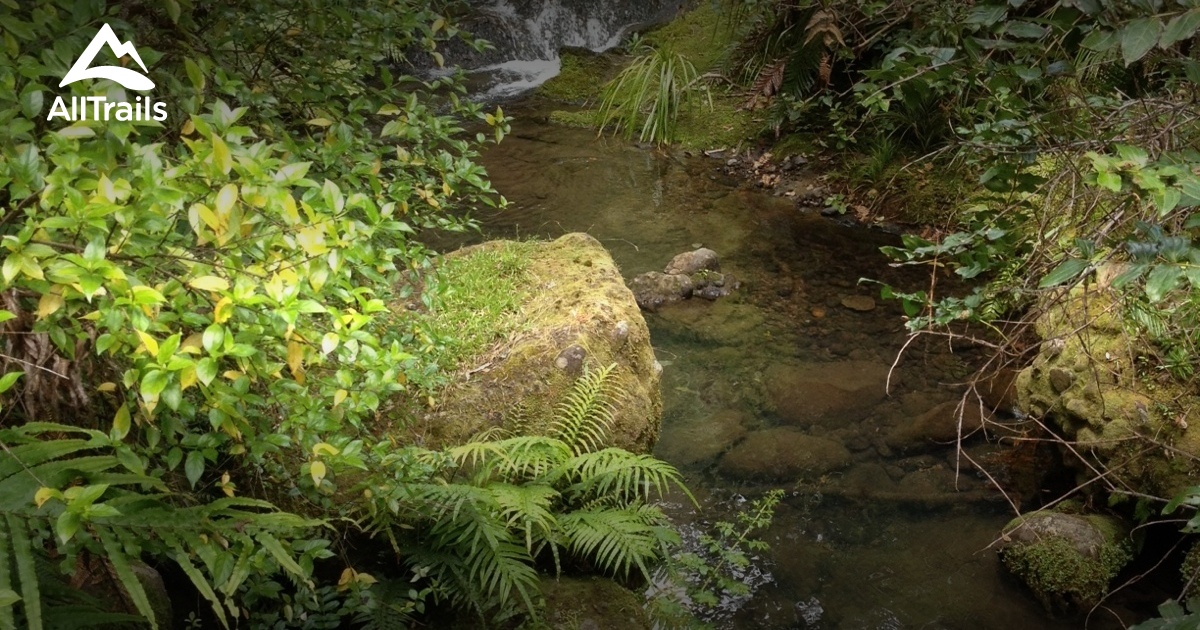 The Cascades - hikes and trails to get you there | AllTrails