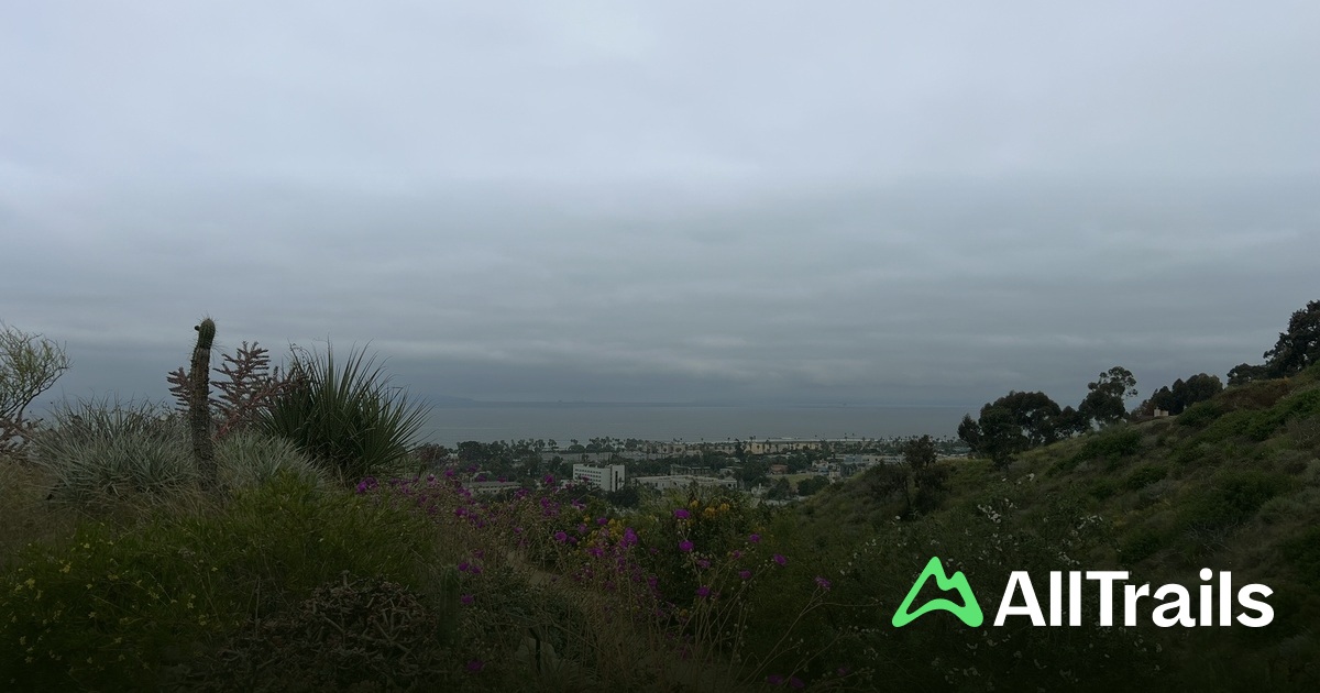 Acacia Trees - hikes and trails to get you there | AllTrails