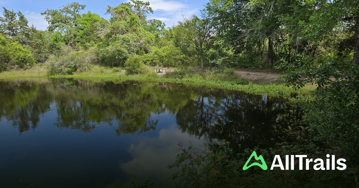 Family Fishing Pond - hikes and trails to get you there | AllTrails