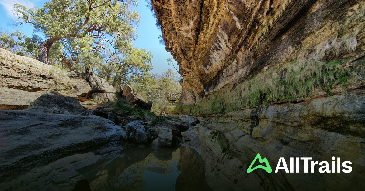 The Drip Walking Track - hikes and trails to get you there | AllTrails