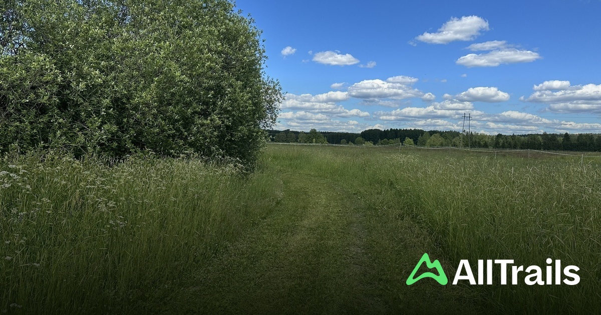 Latu Miilu / Ladun maja - hikes and trails to get you there | AllTrails