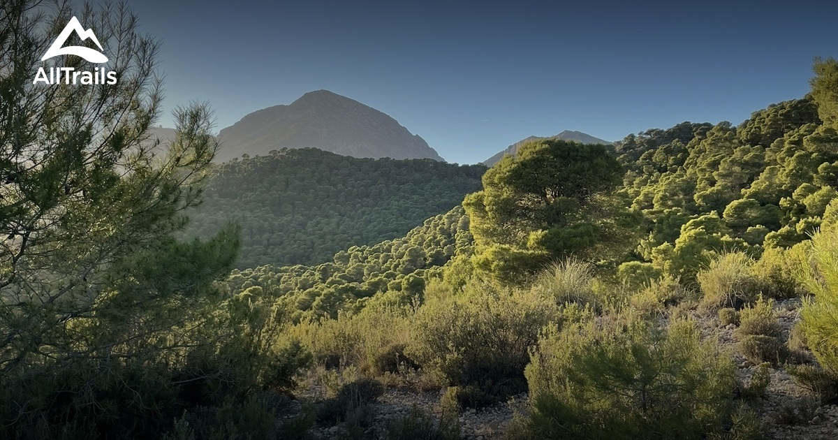 Cerro de la Atalaya - hikes and trails to get you there | AllTrails