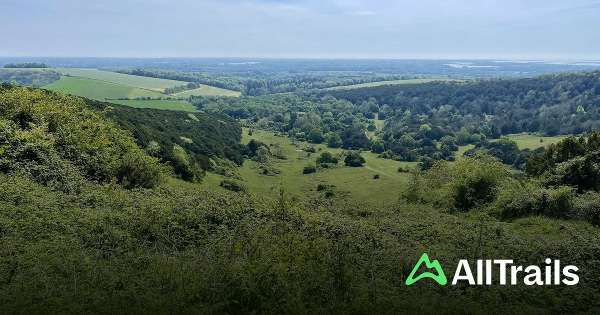 Grandfather Yew Tree - hikes and trails to get you there | AllTrails