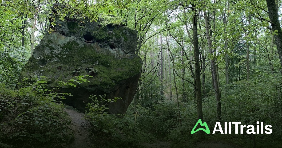 Aligator : les meilleures randonnées | AllTrails