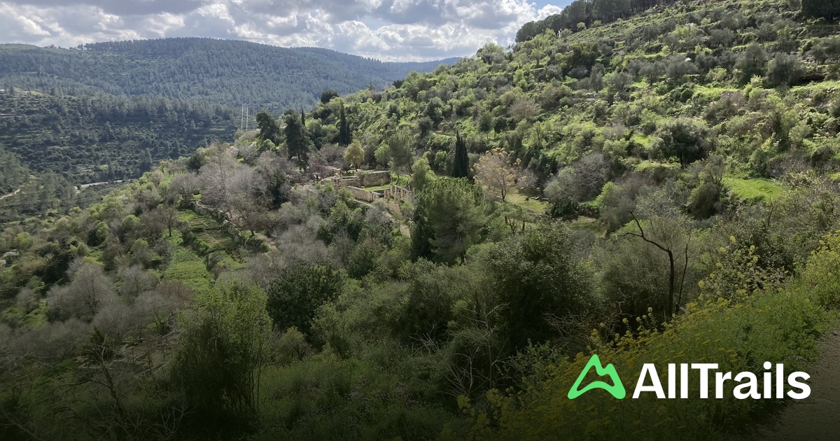Sataf - hikes and trails to get you there | AllTrails