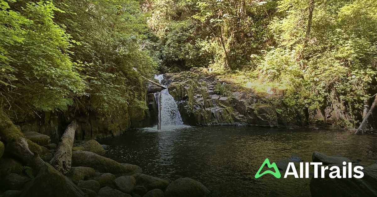 Sweet Creek Falls - hikes and trails to get you there | AllTrails