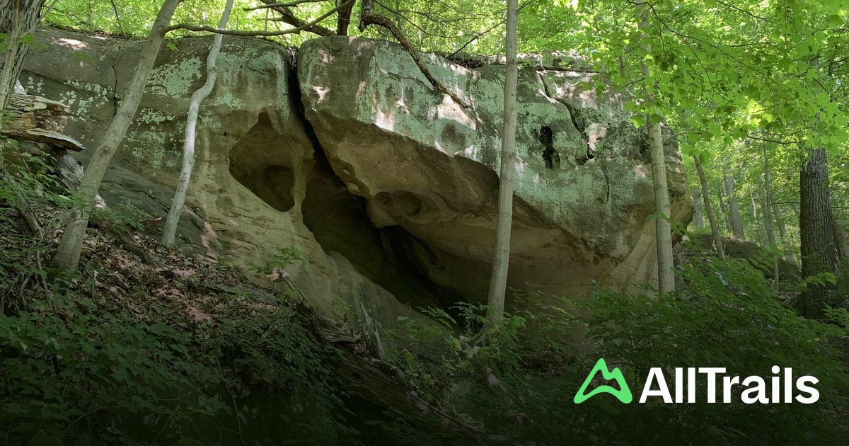 Lookout Point - hikes and trails to get you there | AllTrails