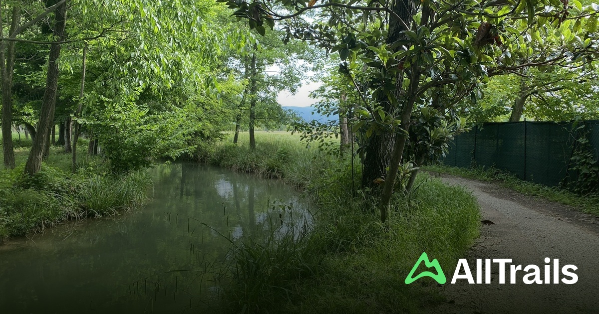 Torrente Torre / la Tor - hikes and trails to get you there | AllTrails