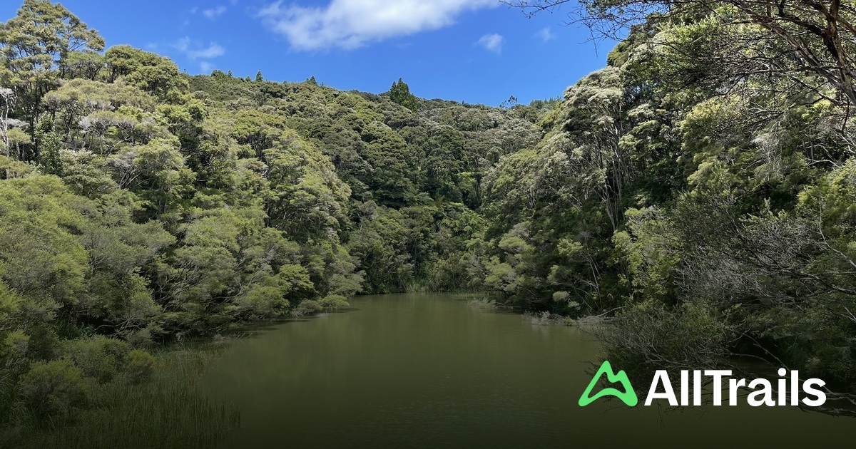 Huia Stream: Die besten Routen in der Umgebung | AllTrails