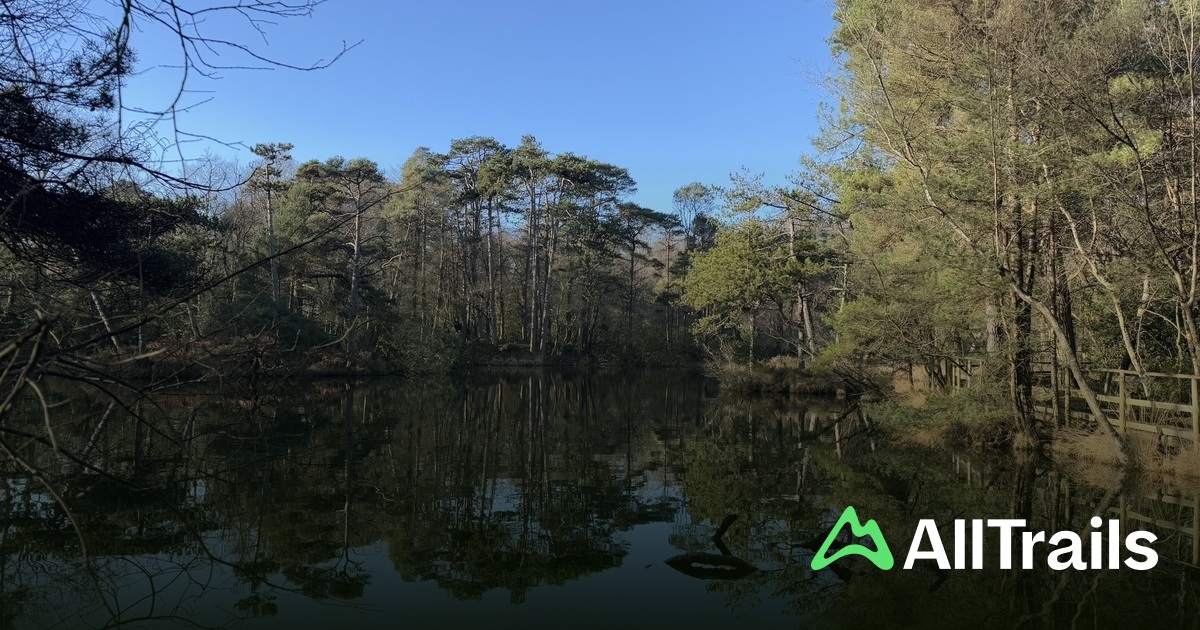 Golden Well - hikes and trails to get you there | AllTrails