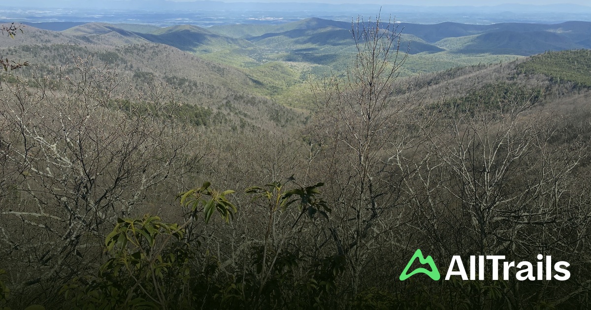 Barger Pond - hikes and trails to get you there | AllTrails
