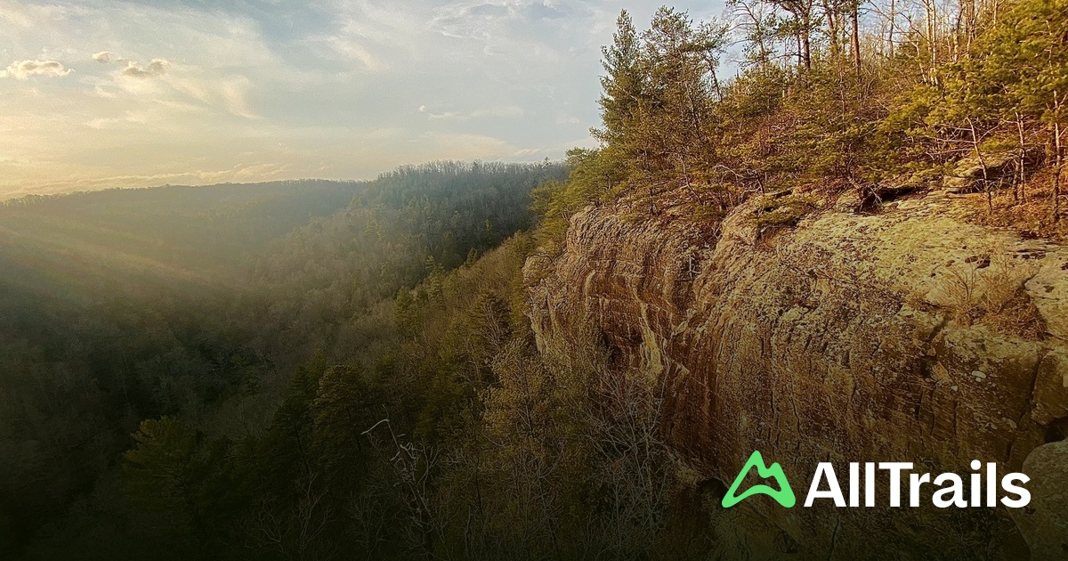 Bandy Creek Campground - hikes and trails to get you there | AllTrails