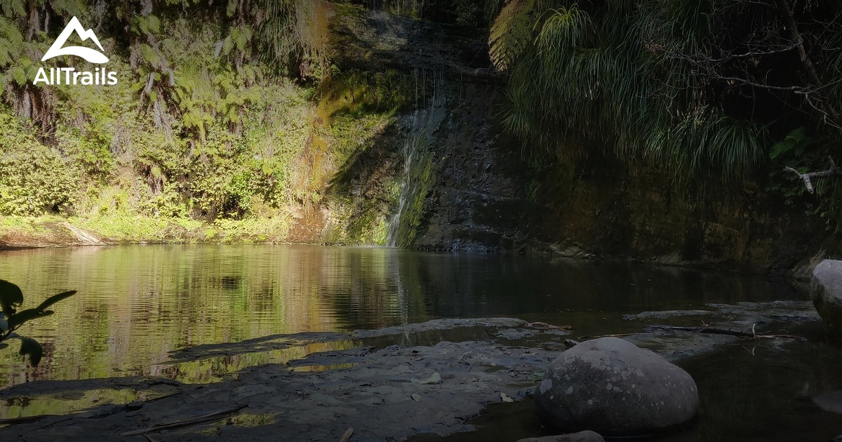 Waitangi Stream Cascade - hikes and trails to get you there | AllTrails