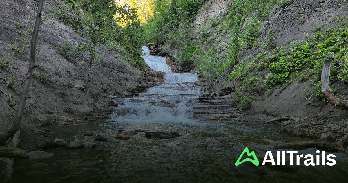 Alison Creek Falls - hikes and trails to get you there | AllTrails