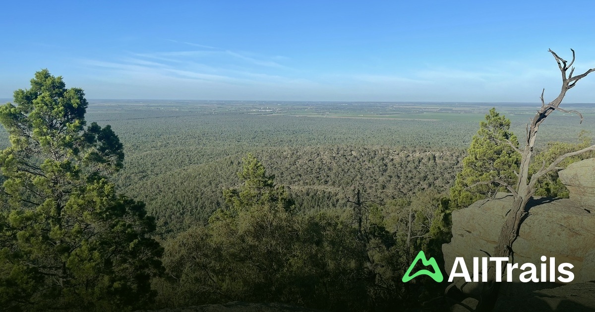 Binya Picnic Area - hikes and trails to get you there | AllTrails