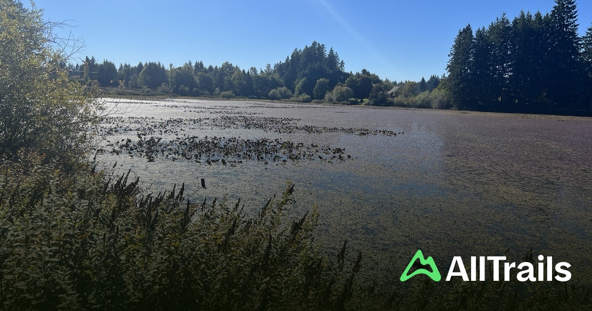 Deschutes Prairie Viewpoint - hikes and trails to get you there | AllTrails